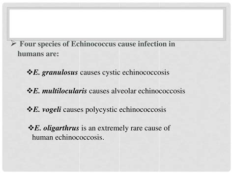 Ppt Echinococcus Granulosus And Multilocularis Powerpoint