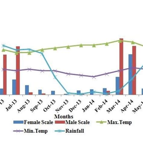 Population Fluctuations Of Mango Scale Males And Females At Bako Download Scientific Diagram