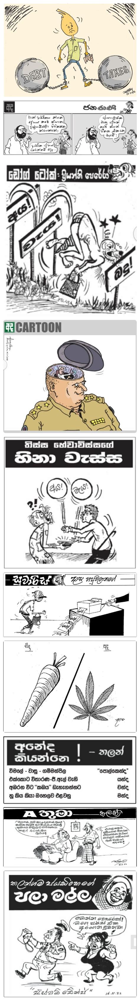 එදා කැරට් අද කංසා බදාදා කාටූන්