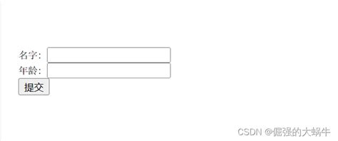 Php表单 Csdn博客