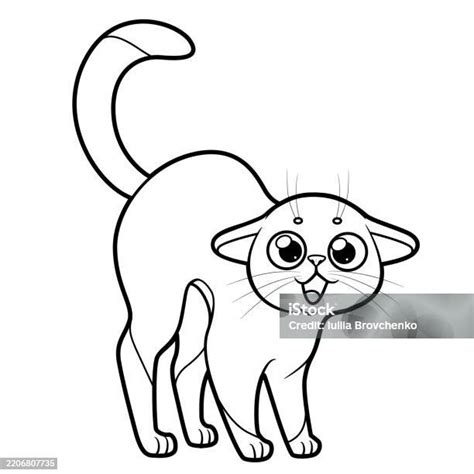 귀여운 만화 새끼 고양이는 등을 굽히고 귀를 평평하게 하여 흰색 배경에 페이지를 색칠하기 위해 윤곽을 그립니다 0명에 대한 스톡 벡터 아트 및 기타 이미지 Istock