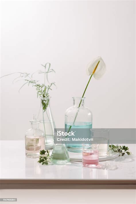 천연 미용 및 유기농 화장품 스킨케어 용 잎 오일 및 성분 추출 물을 사용한 실험실 실험 및 연구 제품 라벨 과학 개념을 위한 빈 병 대체 의학 스파 만들기에 대한 스톡