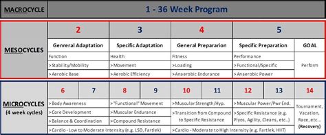Periodization Is Preparation For Fitness Success Infofit Personal