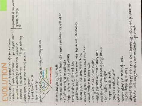 Unity New Input System Fps Controller Tutorial With Source Code Runitytutorials