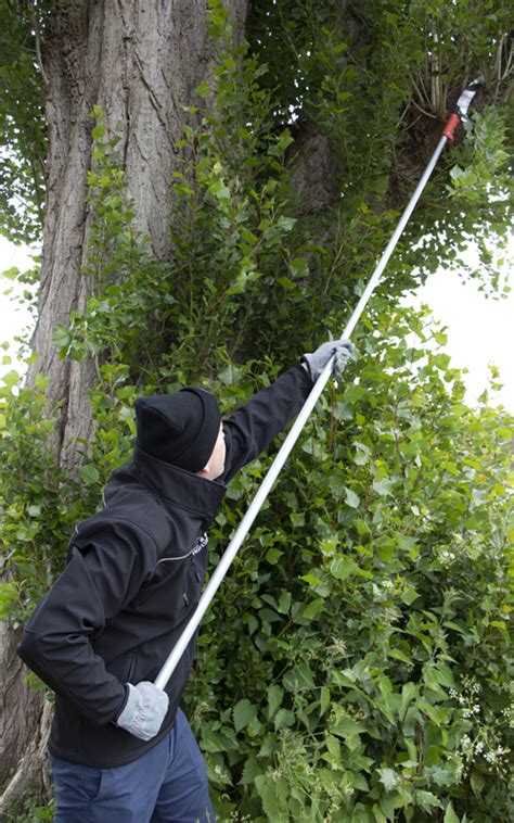 Tree Pruning Hand Tools Tooled Up Blog