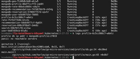 In Hotelreservation Some Microservices Failed To Connect To The