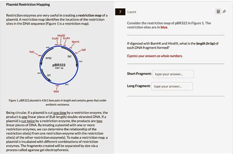 Solved Plasmid 7 Please Help With This Question Plasmid Restriction