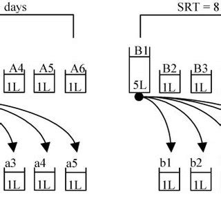 Schematic Of Reactor Setup Download Scientific Diagram