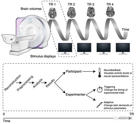 Nature neuroscience功能核磁共振成像 fMRI 分析的计算方法 腾讯云开发者社区 腾讯云