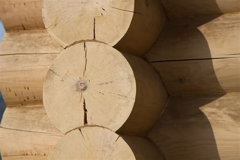 Трещины в бревне способы устранения