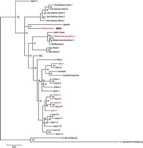 The Tree Was Estimated Using Bayesian Inference Posterior Download Scientific Diagram