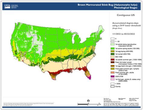 Phenological Mapping Of Invasive Insects Decision Support For