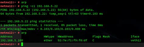 more fun with veth network namespaces vlans v link two l2