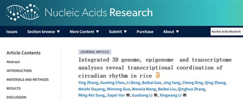 Nar 华中农业大学李兴旺 李国亮 阎加培团队揭示水稻组蛋白h3k9ac修饰的昼夜振荡模式和3d基因组结构的节律动态变化 四川农业大学水稻研究所