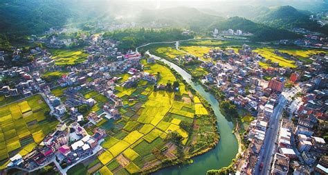 乡韵金淘 海丝商报数字报