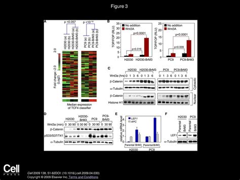 Volume Issue Pages July Ppt Download