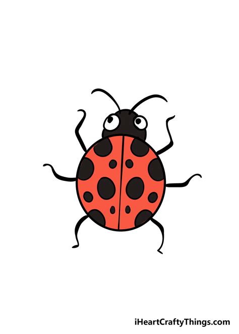 Ladybug Drawing How To Draw A Ladybug Step By Step