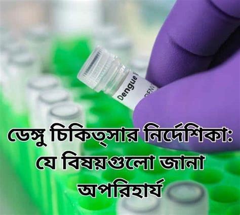 Dengue Treatment Guidelines Navigating The Path To Recovery Doctor Bangladesh Specialist