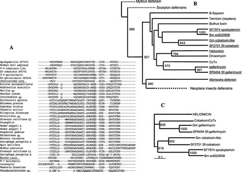 phylogenetic analysis of cysteine rich defensin like peptides a