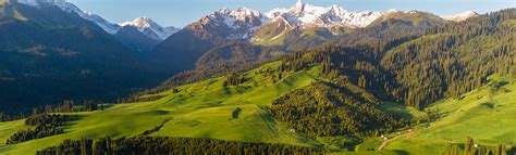 行业应用案例 威海柏林圣康空氧科技有限公司