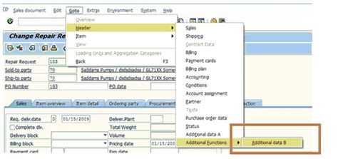 How To Change The Name Of The Tab Additional Data SAP Community