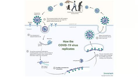 Molecular Biology Intro Pdf