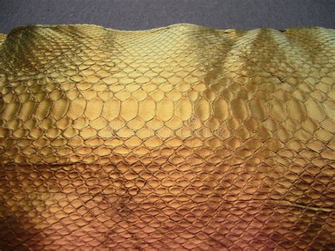 Red Exotic Python Skin Snakes For The Production Of Bags Clothes