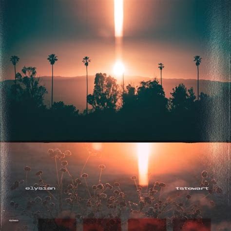 Machinedrum Tstewart Elysian Cd Travis Stewart Muziek Bol