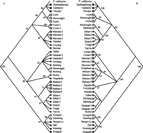 Maximum Likelihood ML Trees Showing The Relationships Among Taxa And Download Scientific