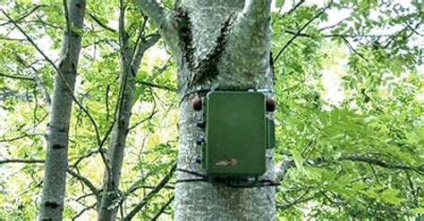Ecoacoustics Scaled Acoustic Biodiversity Wildlife Acoustics