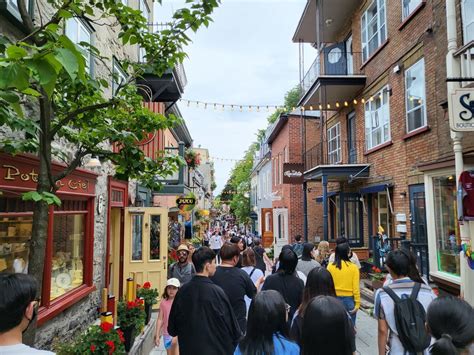 몬트리올 근교투어 [소규모 2박3일]토론토 출발 몬트리올 퀘백 투어 With Team On 캐나다 토론토 마이리얼트립