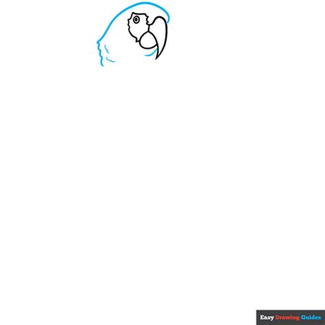 How To Draw A Scarlet Macaw Really Easy Drawing Tutorial