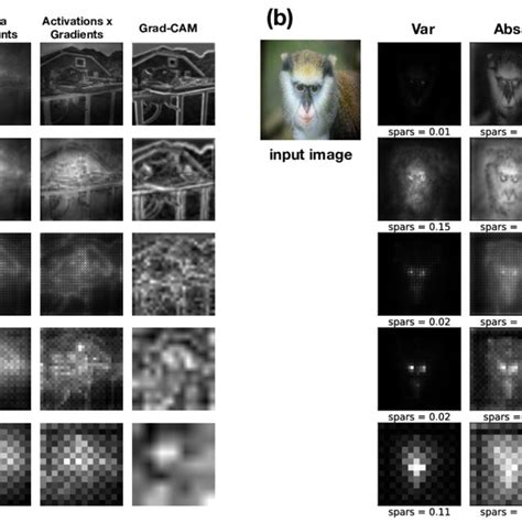 Example Of Embeddings For A Different Attribution Schemes C A Abs Download Scientific