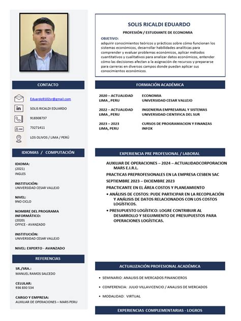 Cv Solis Ricaldi Eduardo Pdf Informática Procesos De Negocio