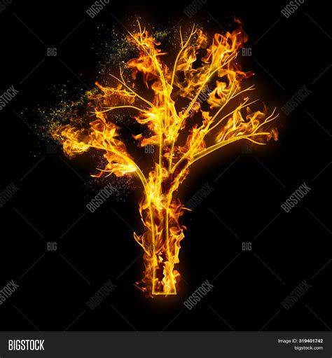 Catching Fire Tree