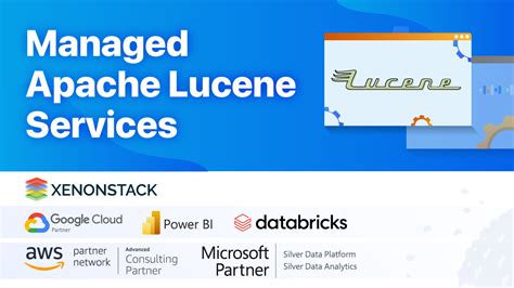 Managed Apache Lucene Services Xenonstack