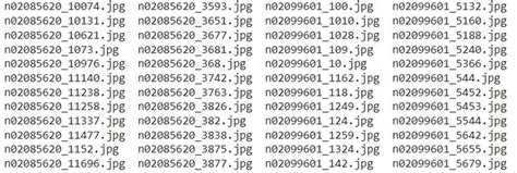 A Tutorial On Building Custom Object Detection Models Using Detecto