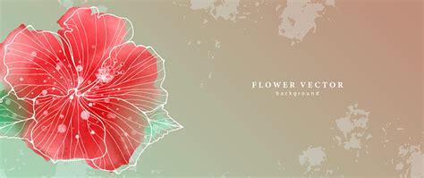 빨간색 수채화 꽃과 흰색 선이 있는 부드러운 그라데이션 배경 텍스트 사진 엽서 졸업장 및 프리젠테이션을 위한 꽃 배경 0명에