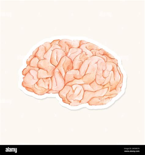Hand Drawn Pink Brain Sticker Vector Stock Vector Image And Art Alamy Hand Drawn Pink Brain Sticker Vector Stock Vector Image And Art Alamy