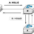 The Exchange Of Hello Message Download Scientific Diagram