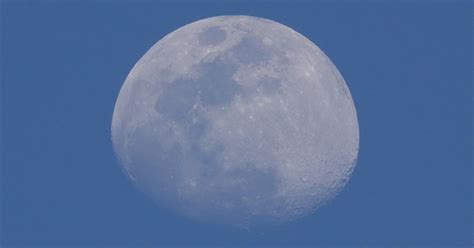 사진 밝은 하늘에 뜬 둥근 달