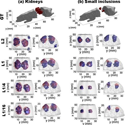 3d Visualizations For In Silico Reconstructions A The 3d Download Scientific Diagram