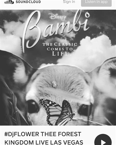 Bambi Prescott Officialbambiprescott • Instagram Photos And Videos