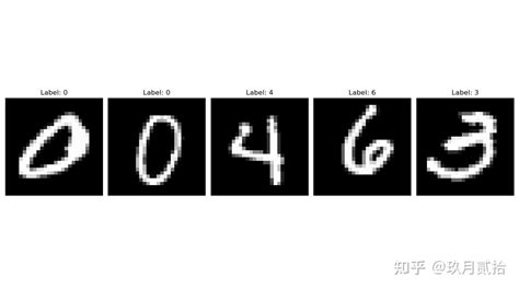 小白使用pytorch实现第一个卷积神经网络（cnn）2g显存也能跑 知乎