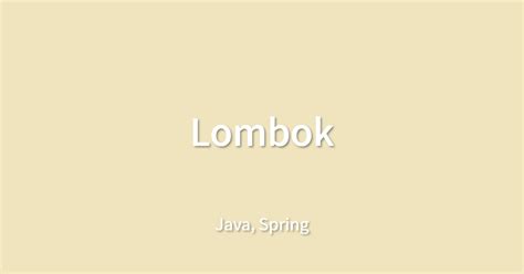 Java Spring Lombok