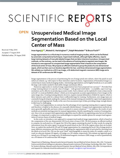 pdf unsupervised medical image segmentation based on the local center
