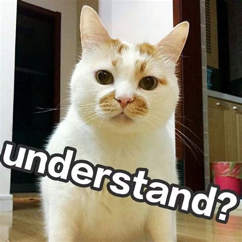 Yogibrainarduino Brainarduino Yogi杂货库