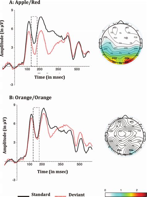 Experiment 1 Topography Of The Drn And Average Erp Waveforms To