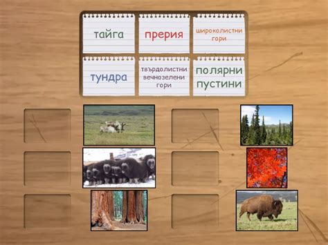 Природни зони в Северна Америка Match Up
