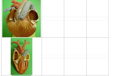 Solved Complete The Table Below Using The Keyword List In Chegg